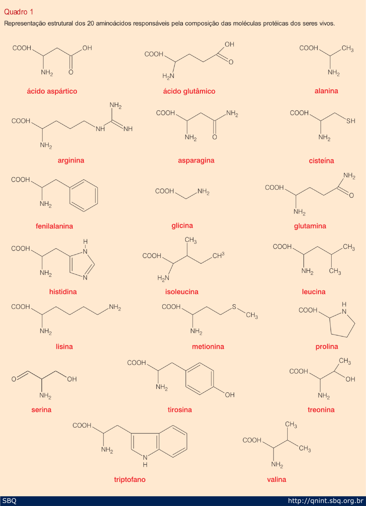 Estrutura Polipeptidica